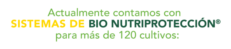 MicroSoil Control | Fungicida Microbiologico | Agribest